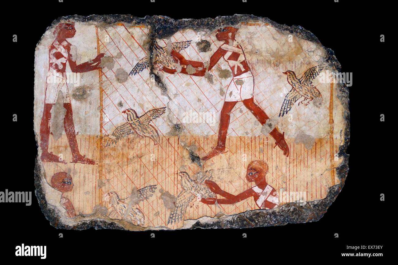 Fresque de la tombe de Nebamun, montre les hommes attraper les cailles ...