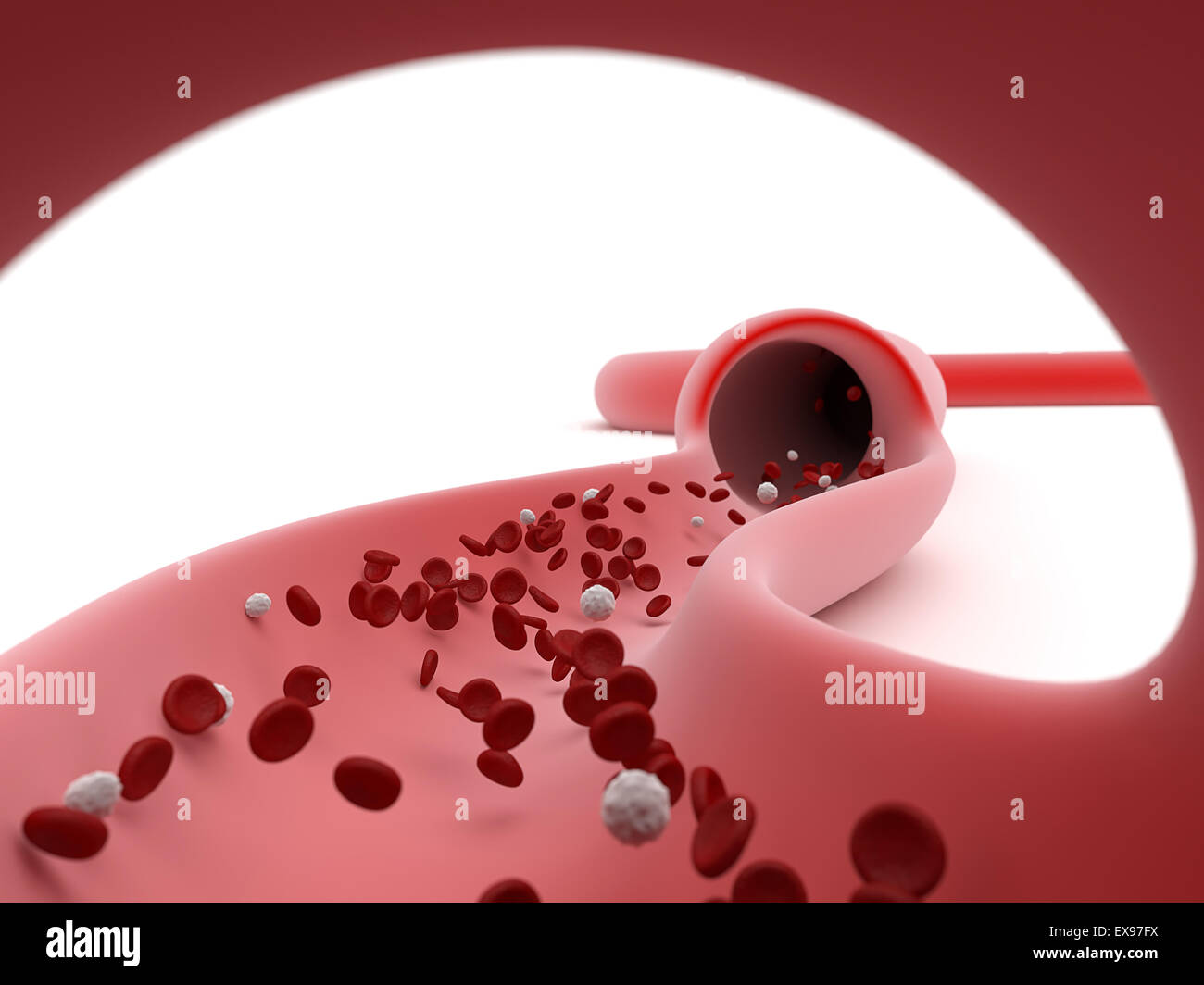 Vaisseau sanguin 3d Banque de photographies et d’images à haute ...