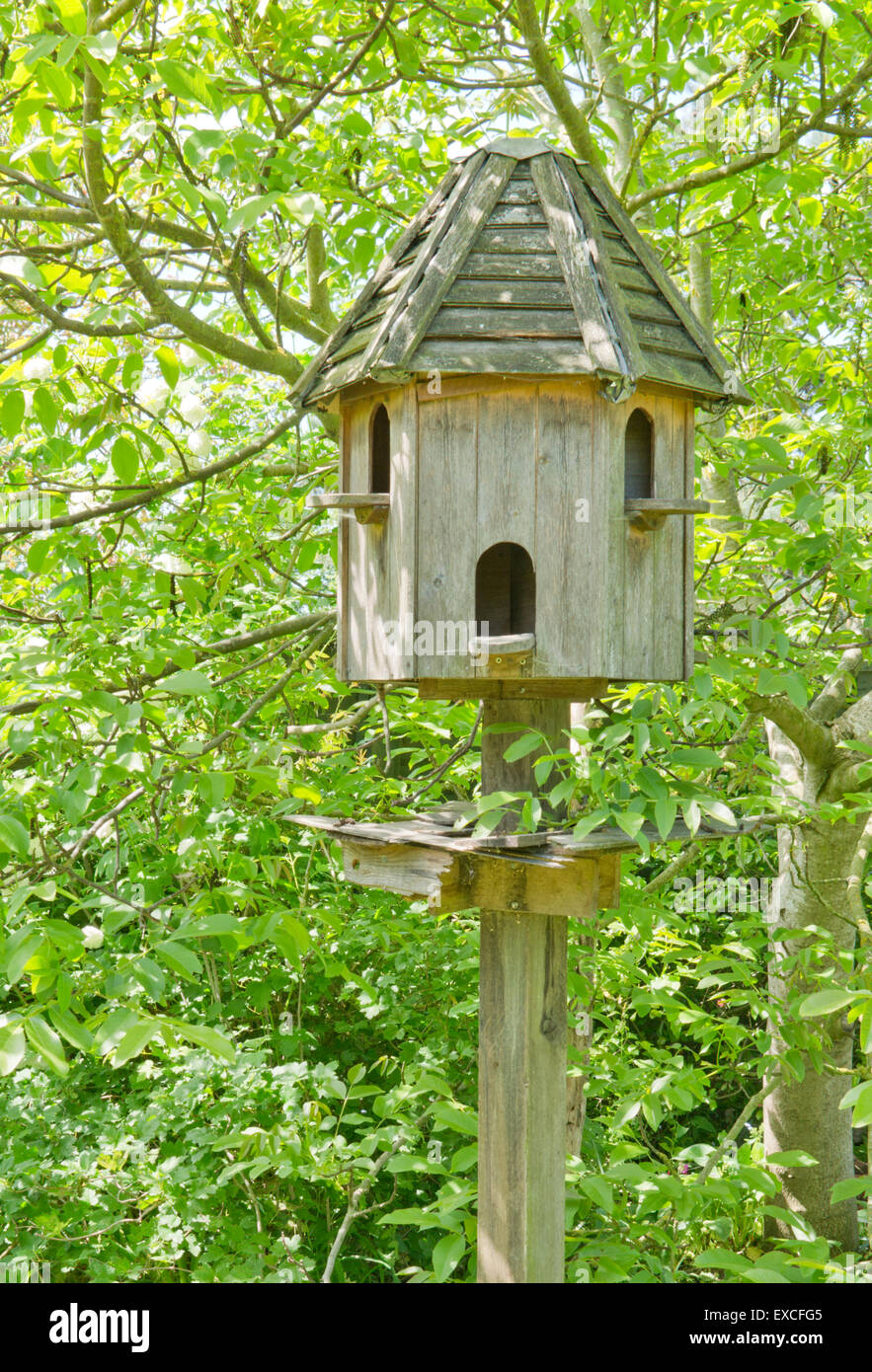 Pigeonnier en bois Banque de photographies et d’images à haute ...