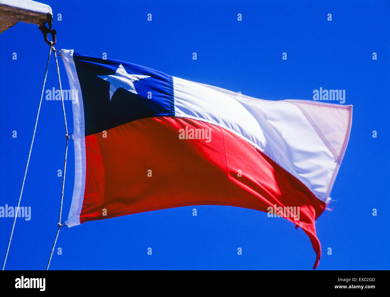 Drapeau chilien Banque de photographies et d’images à haute résolution ...