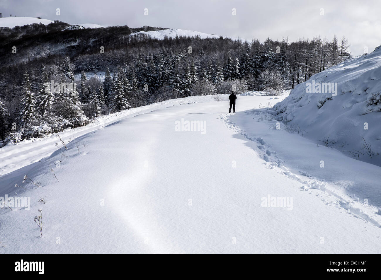 Roncevaux pass Banque de photographies et d’images à haute résolution ...