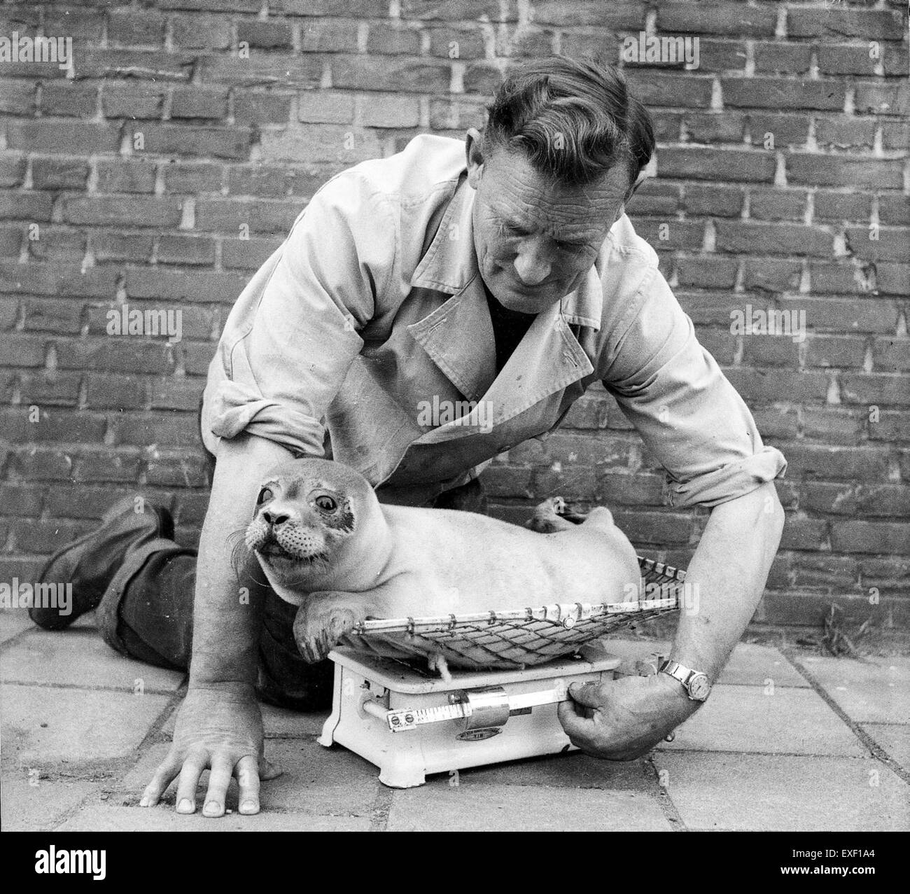 Gewogen Banque de photographies et d’images à haute résolution - Alamy