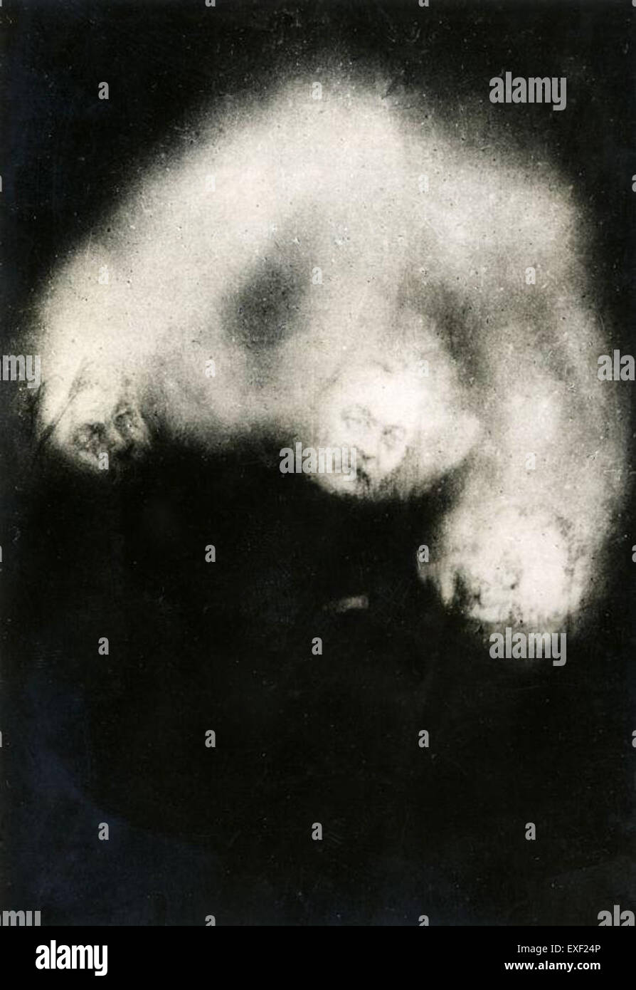 Van geest Banque de photographies et d’images à haute résolution - Alamy