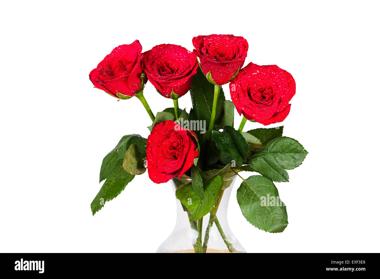 Fleurs blanches sur les tiges sans feuilles Banque de photographies et ...