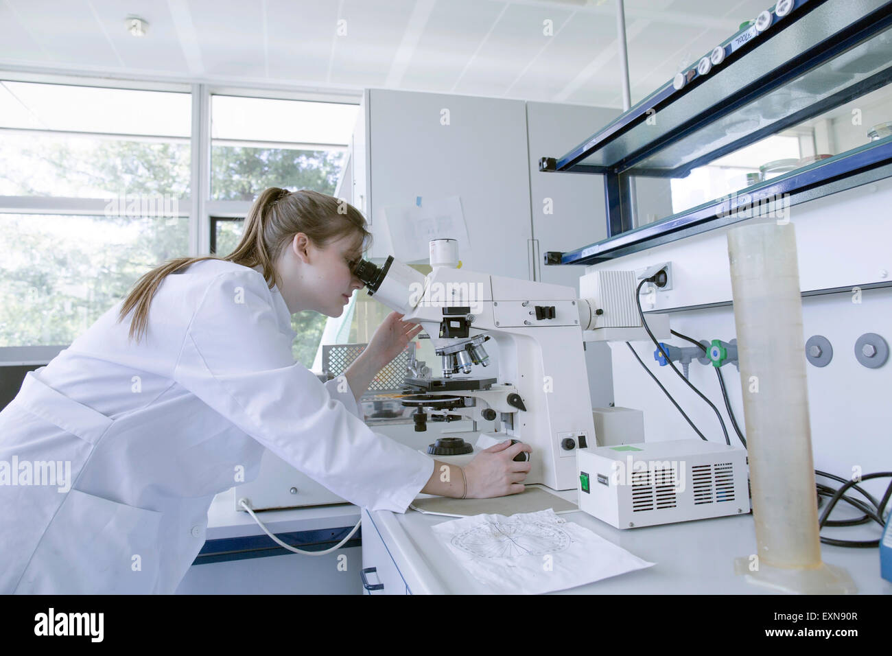 Microscope optique Banque de photographies et d’images à haute ...
