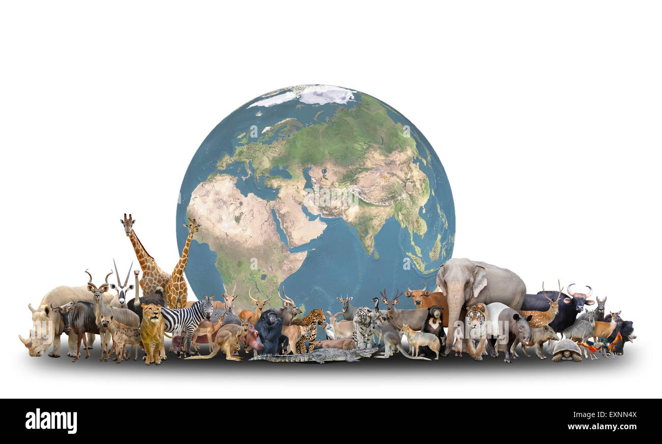 Le monde de l'animal avec la planète terre sur fond blanc ,élément de ...