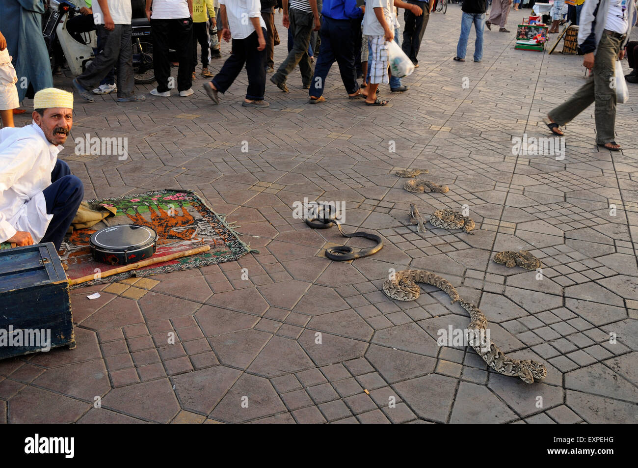 Charmeurs de serpents serpents sur la place jemaa el fna Banque de ...