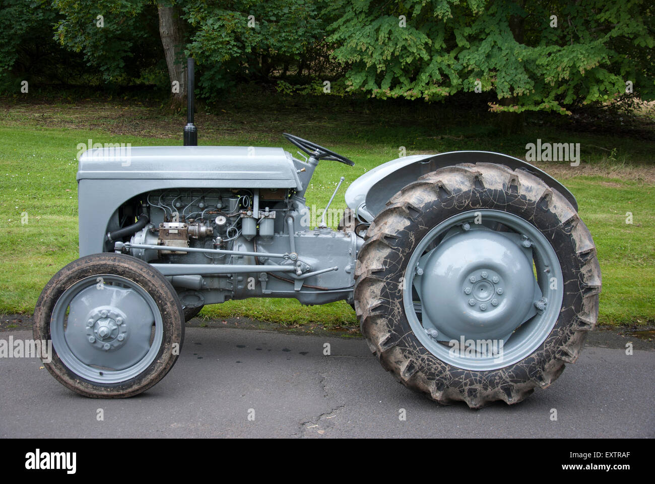 Tracteur Ferguson Te20 Banque d'image et photos - Alamy