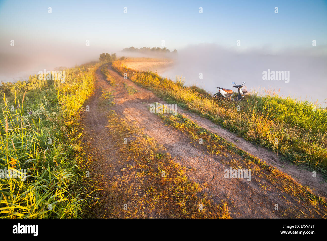 Rivière de brume fantastique avec de l'herbe verte sous le soleil de ...