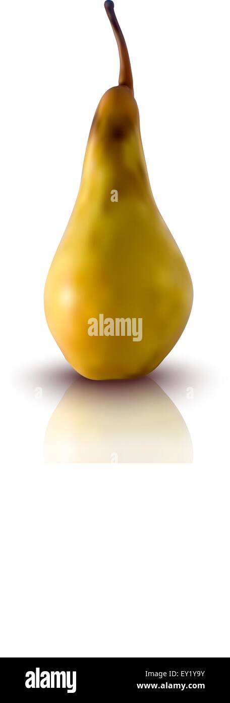 Portion pleine longueur Banque d'images vectorielles - Alamy