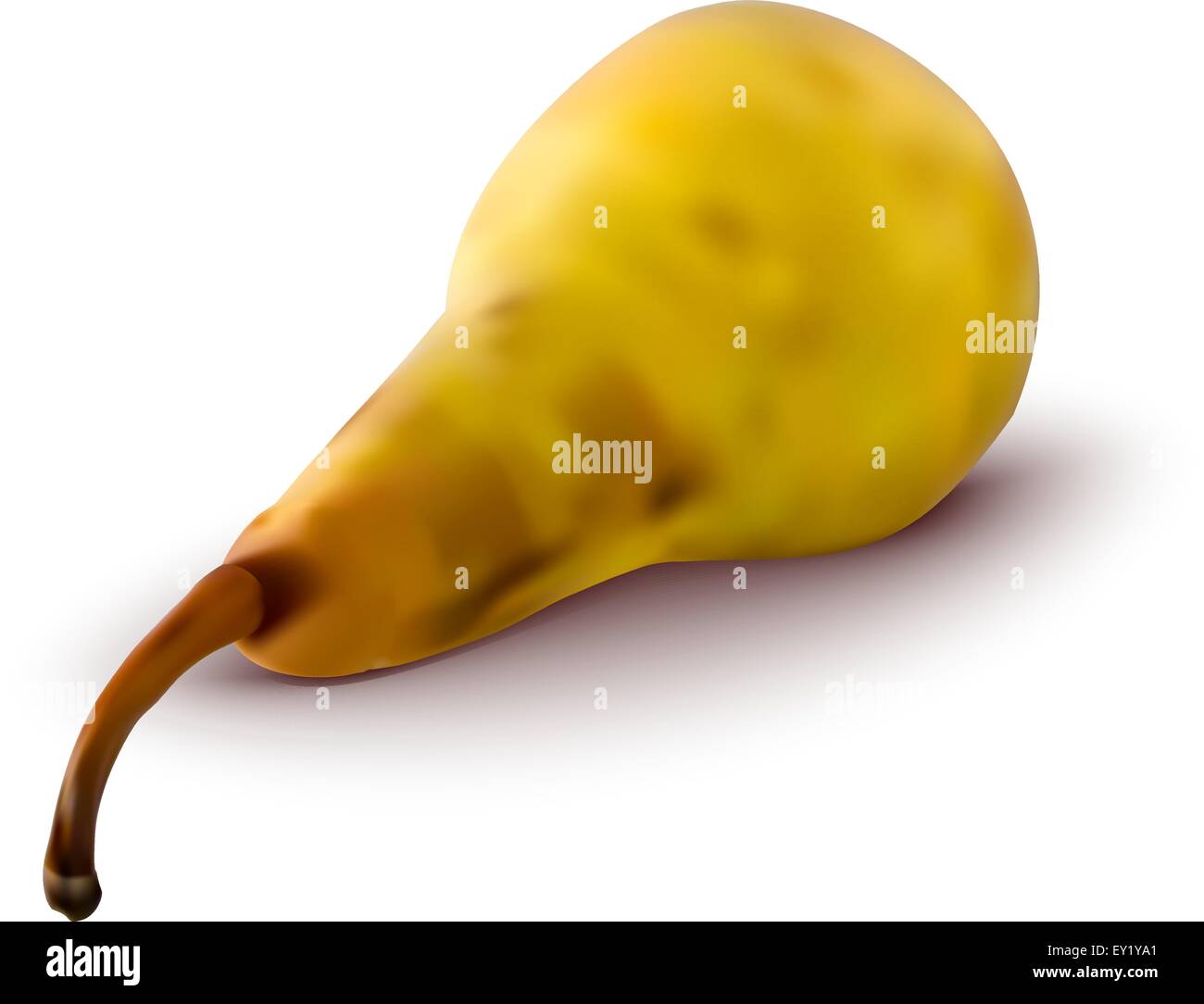 Portion pleine longueur Banque d'images vectorielles - Alamy