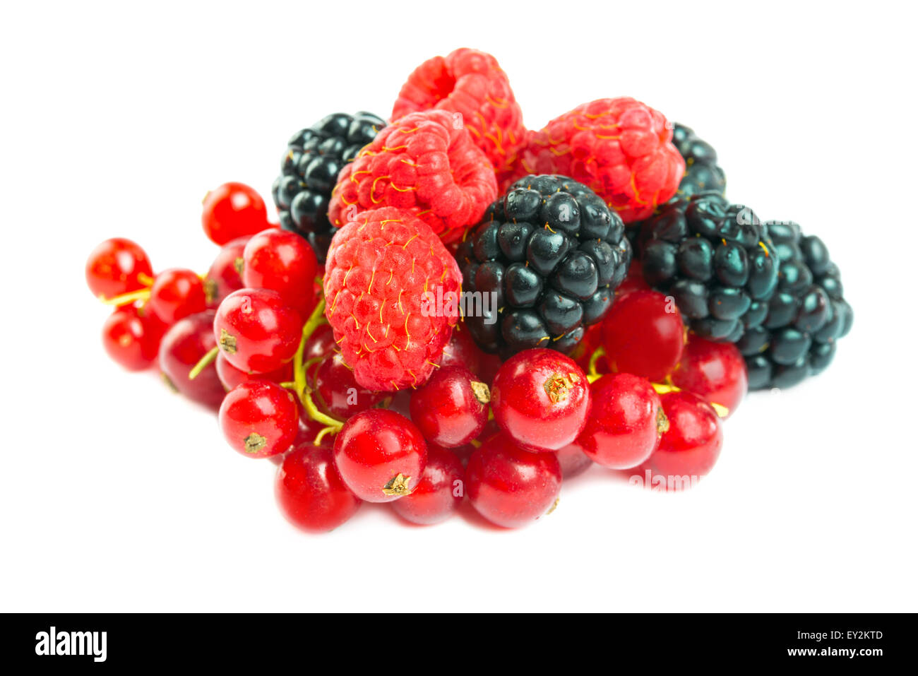 Fruits rouges sauvages Banque d'images détourées - Alamy
