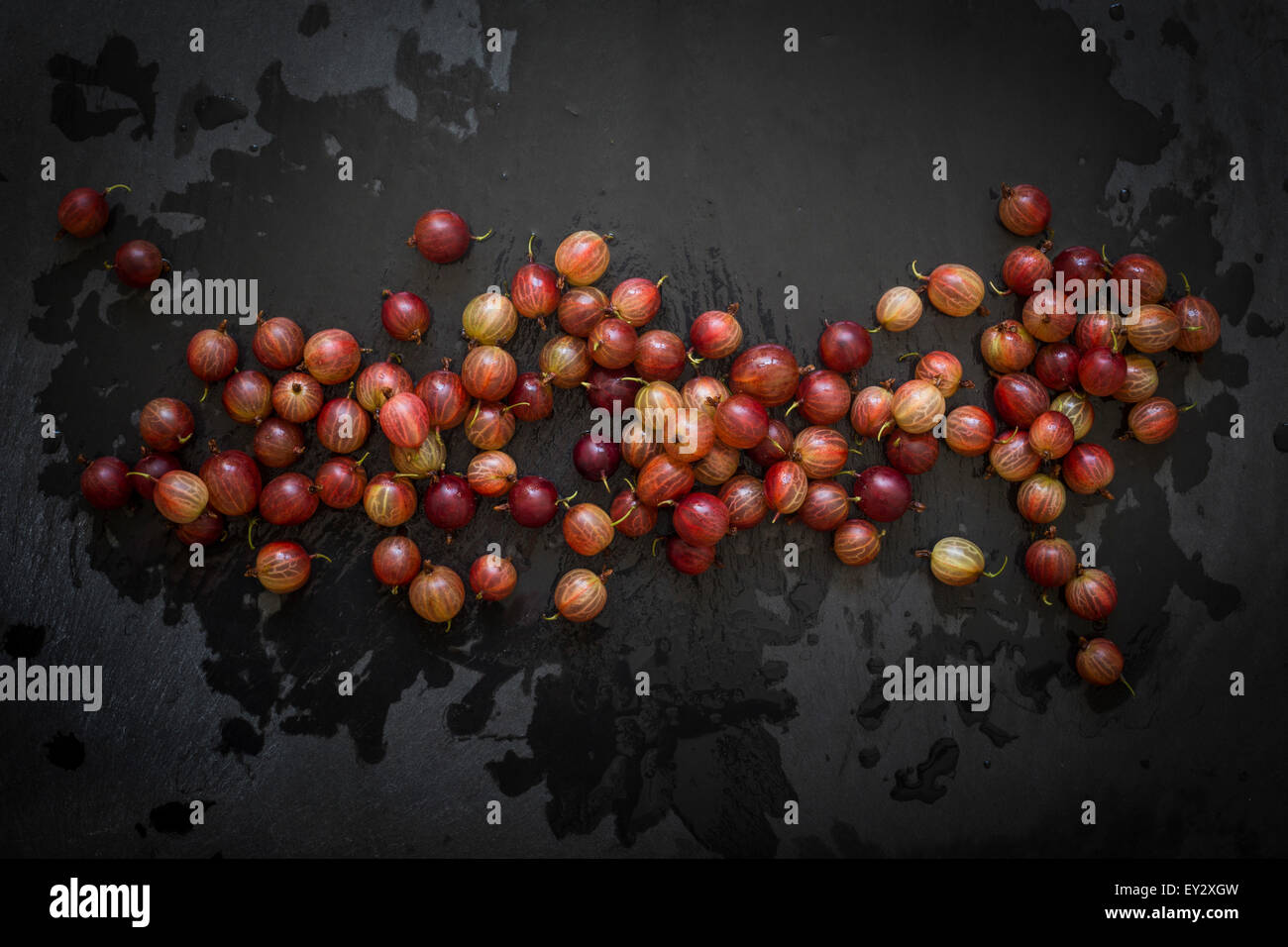 Groseilles noires Banque de photographies et d’images à haute ...