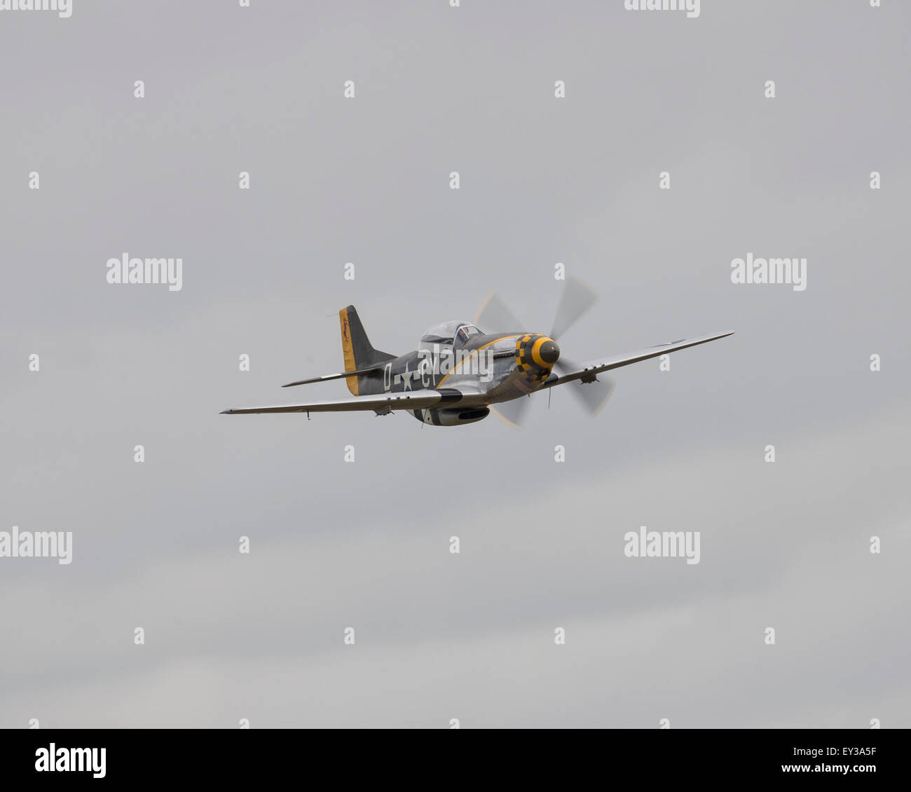 North American P-51D Mustang, N251RJ / CY-D / Miss Velma world war 2 ...