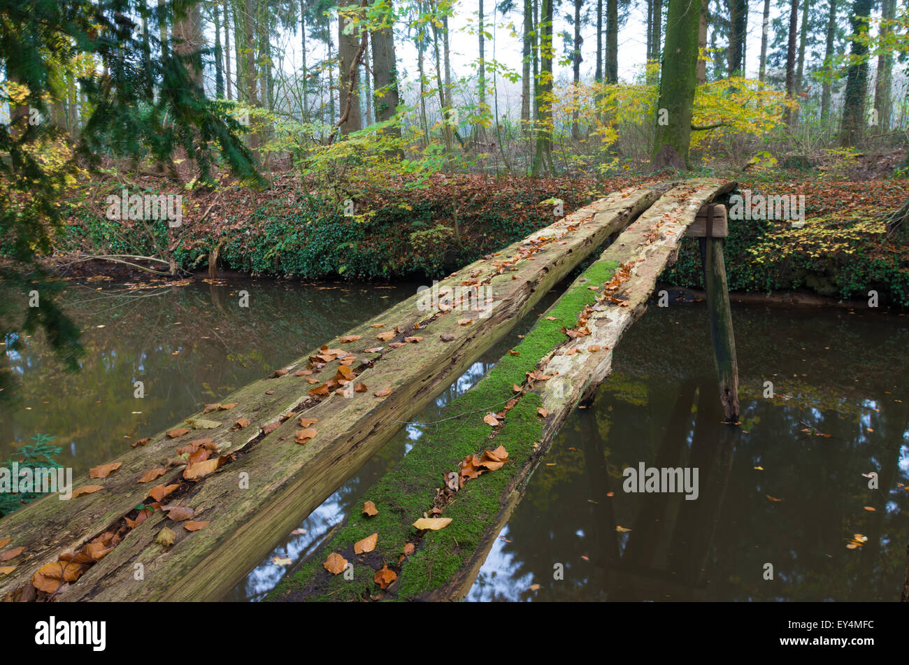 Camino primitivo Banque de photographies et d’images à haute résolution ...