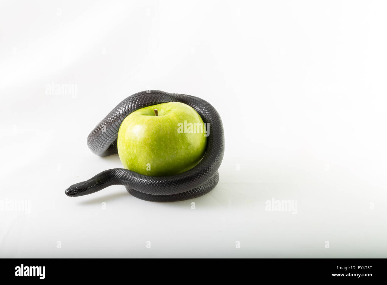 Snake apple Banque de photographies et d’images à haute résolution - Alamy