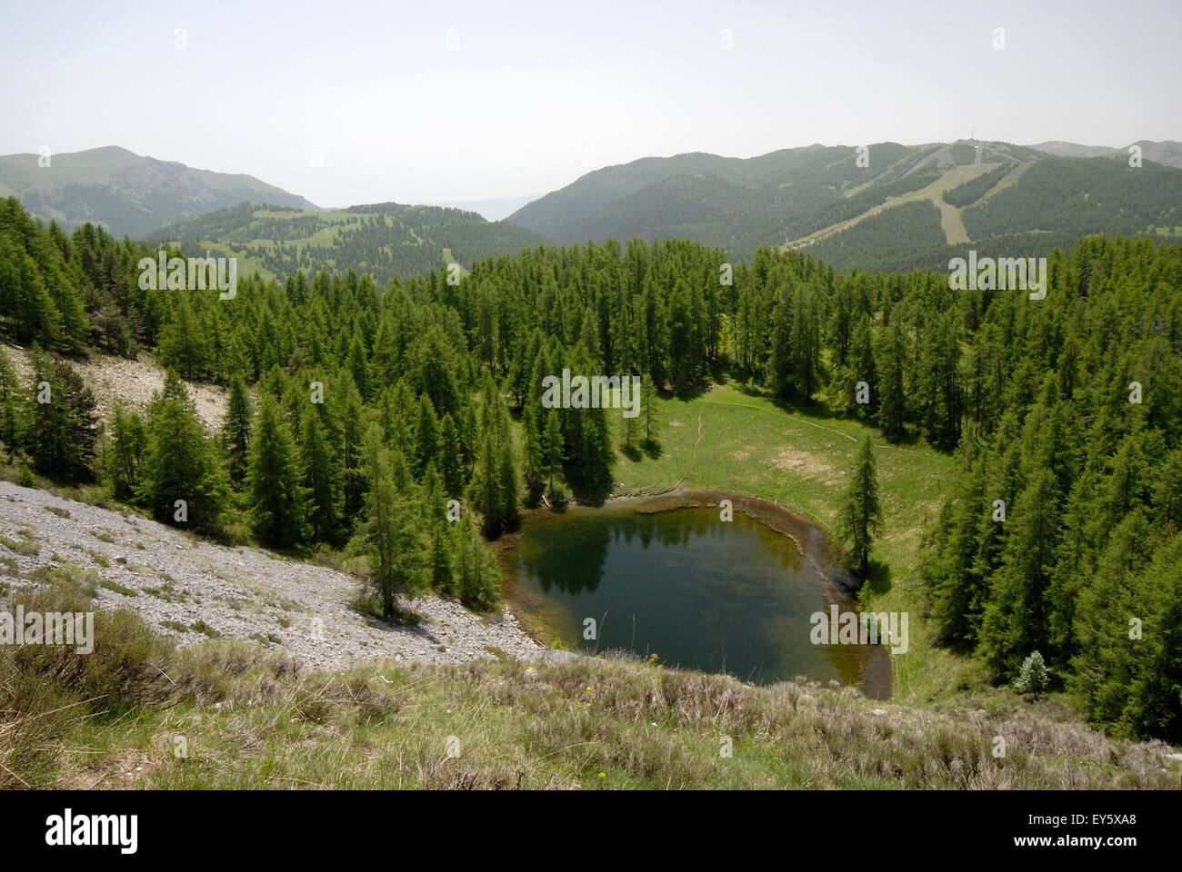 Lac de Beuil a vu la tête de Garnier - France Le Mercantour Photo Stock ...