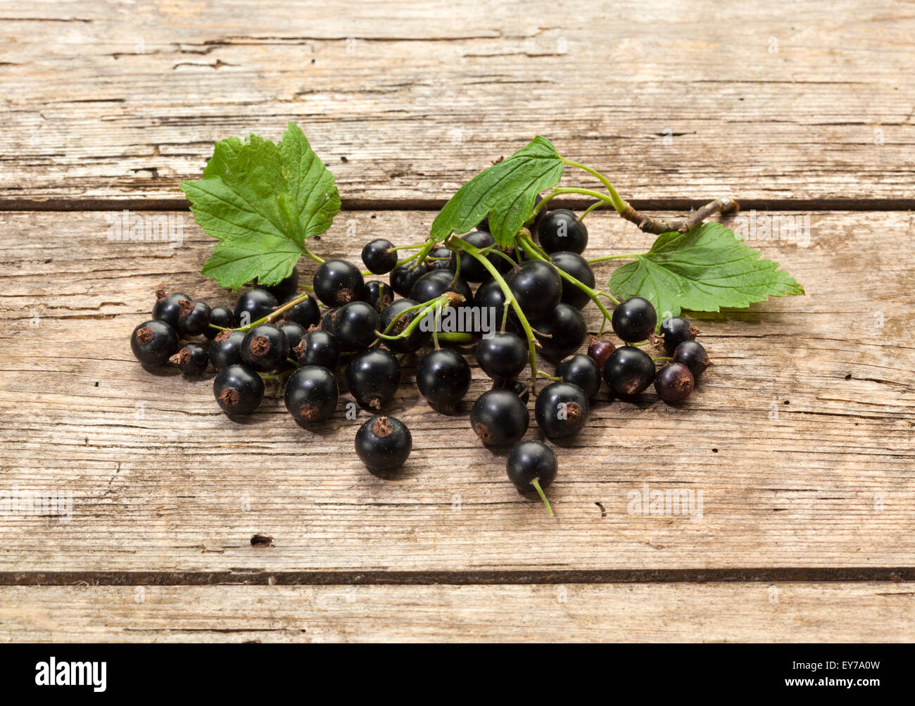 Cassis fruit Banque de photographies et d’images à haute résolution - Alamy