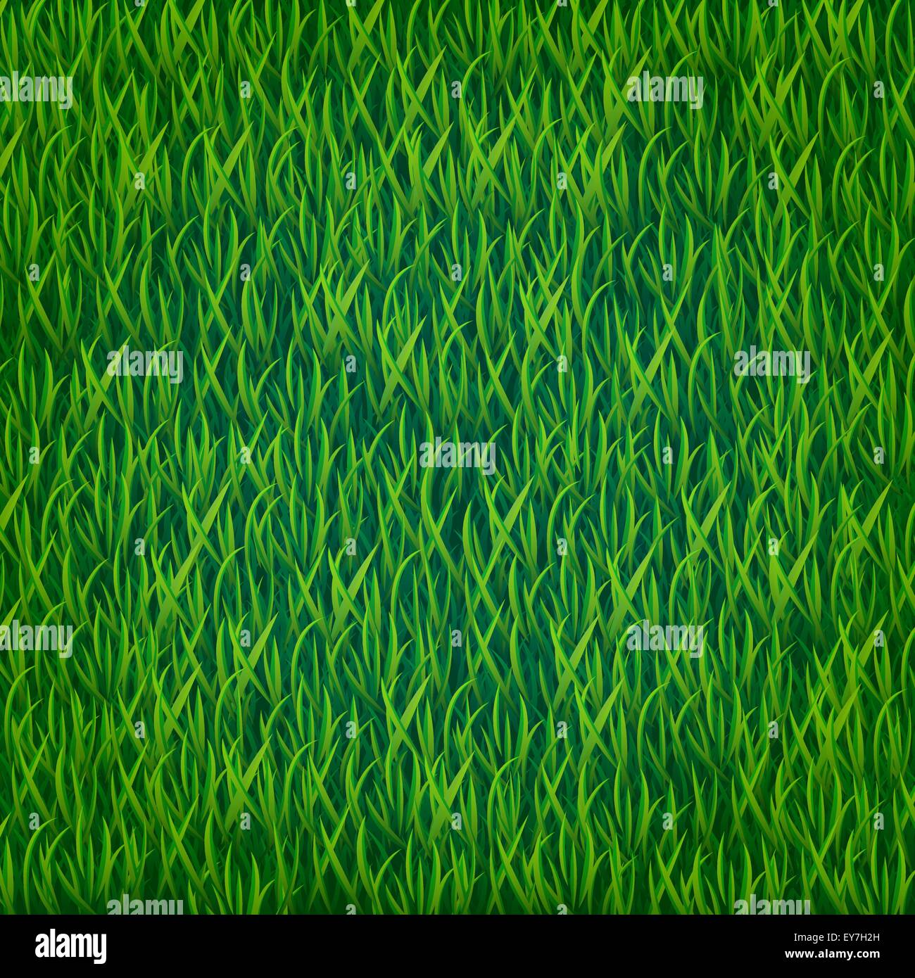 Herbe de fond vert Banque d'images vectorielles - Alamy