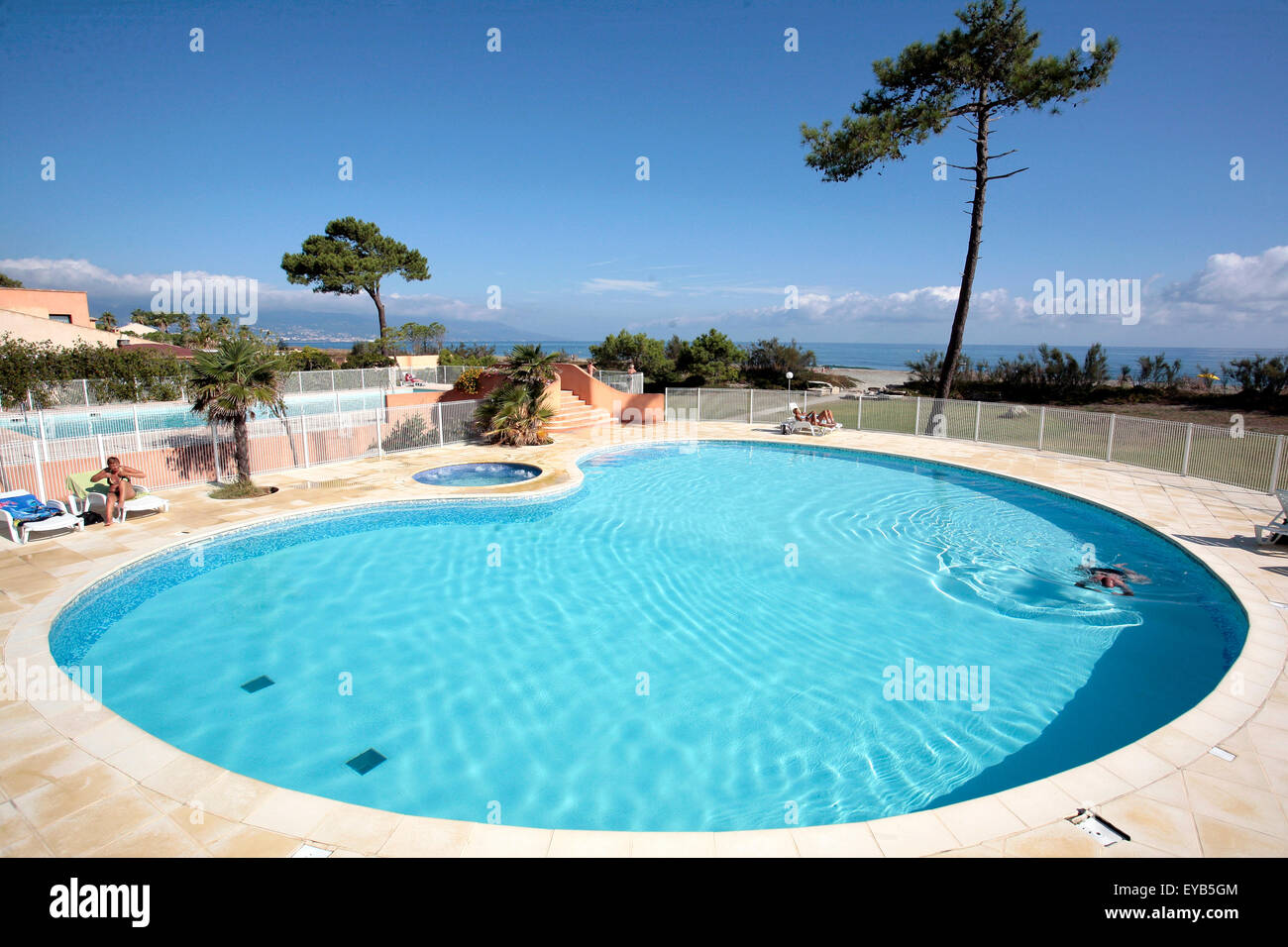Arbre généalogique et piscine, sur la mer en Corse, France Photo Stock ...