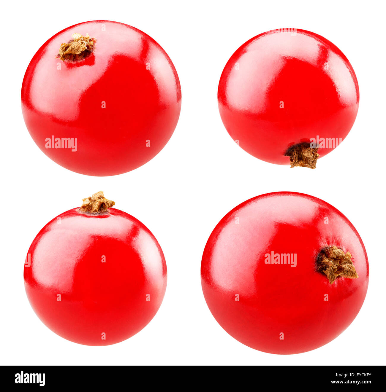 Bouquet de groseilles blanches Banque de photographies et d’images à ...