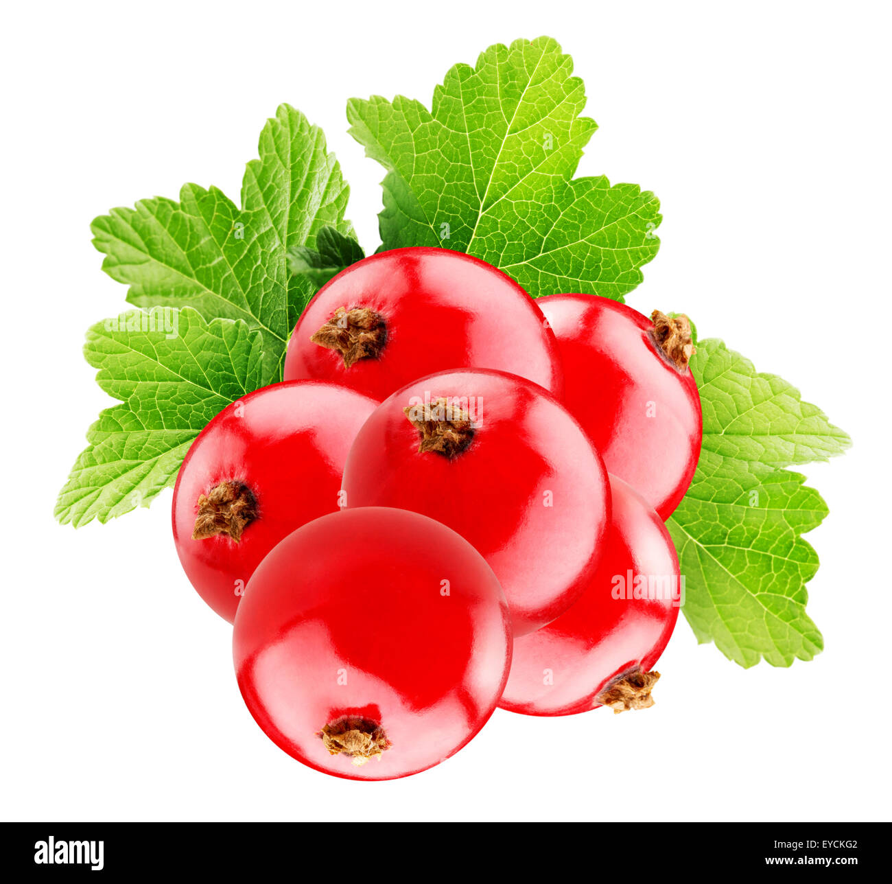 Groseilles vertes et rouges Banque de photographies et d’images à haute ...