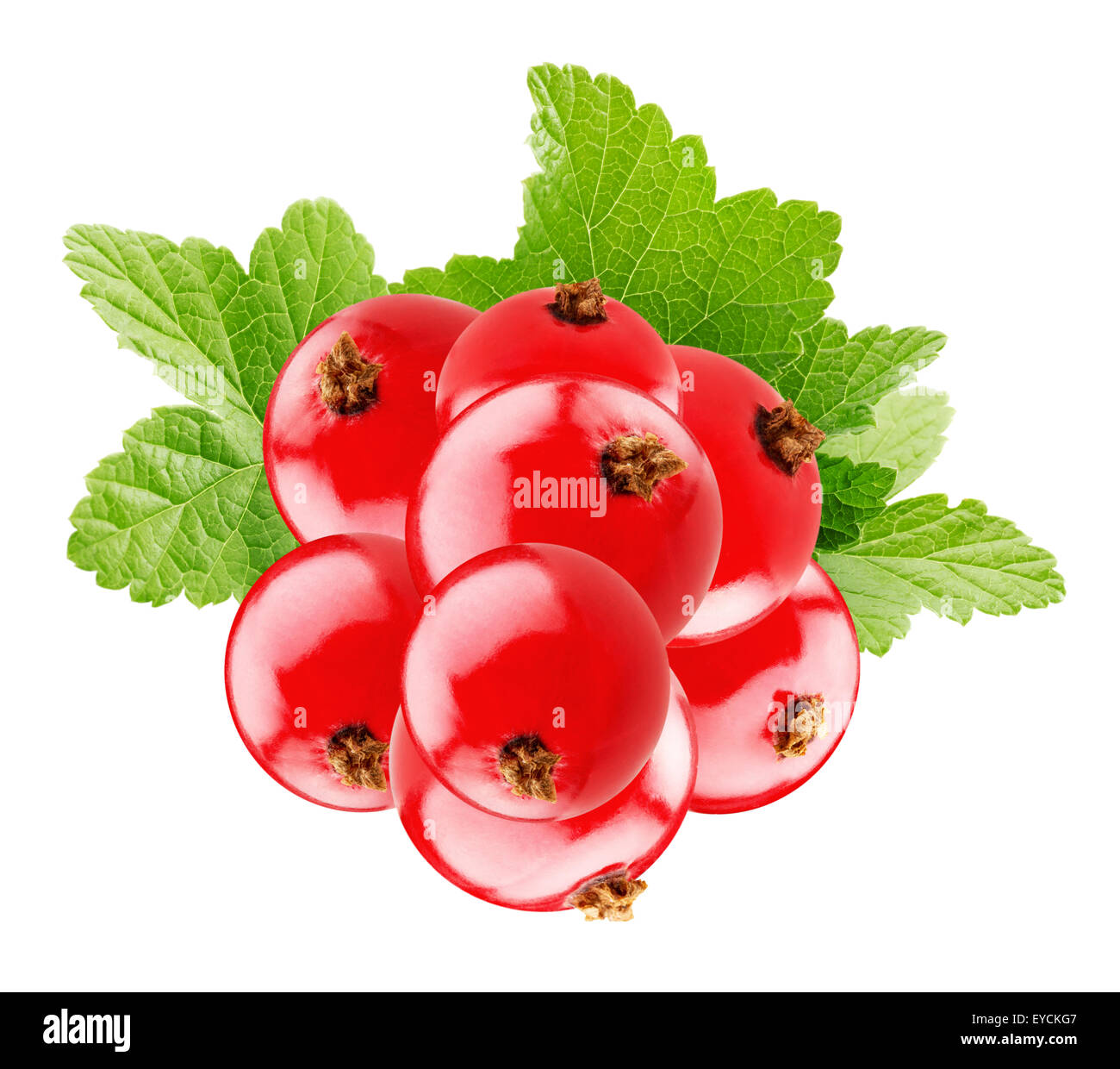 Groseilles vertes et rouges Banque de photographies et d’images à haute ...