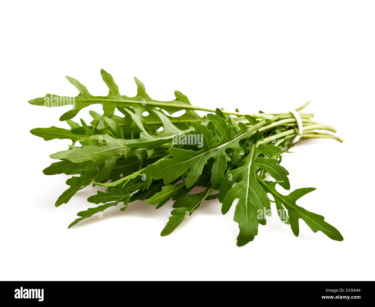 Bouquet de roquette Banque de photographies et d’images à haute ...
