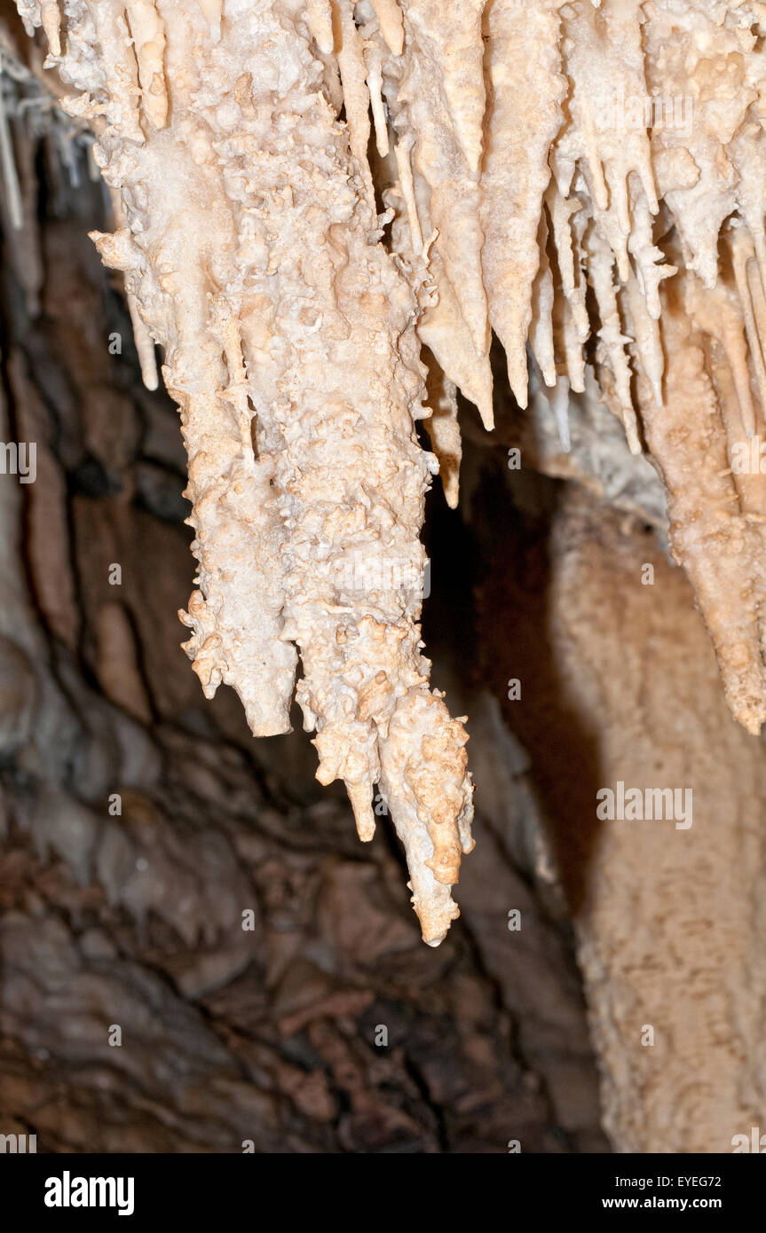 Stalactites formations calcaires grotte Banque de photographies et d ...