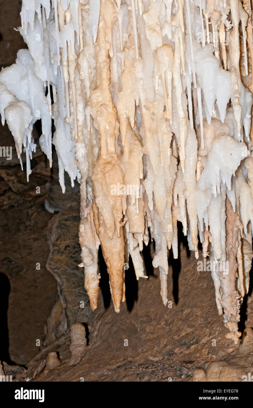 Stalactites formations calcaires grotte Banque de photographies et d ...