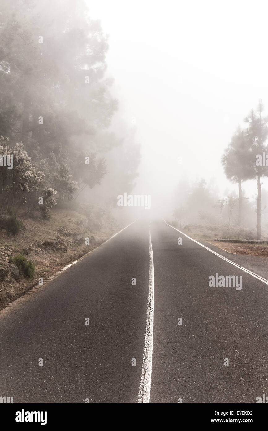 Brouillard épais Banque de photographies et d’images à haute résolution ...