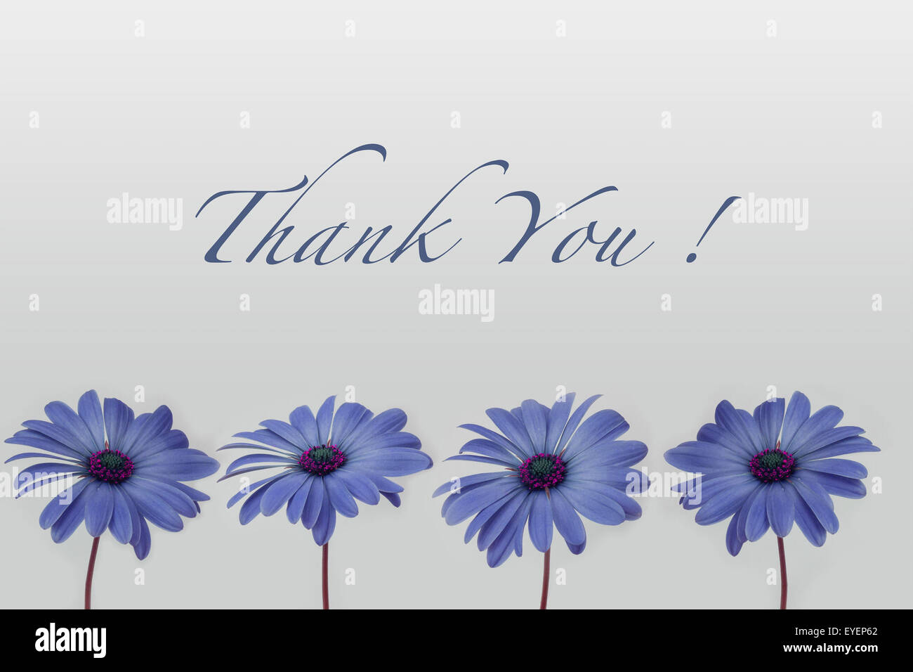 Carte de remerciement avec des fleurs Banque de photographies et d ...
