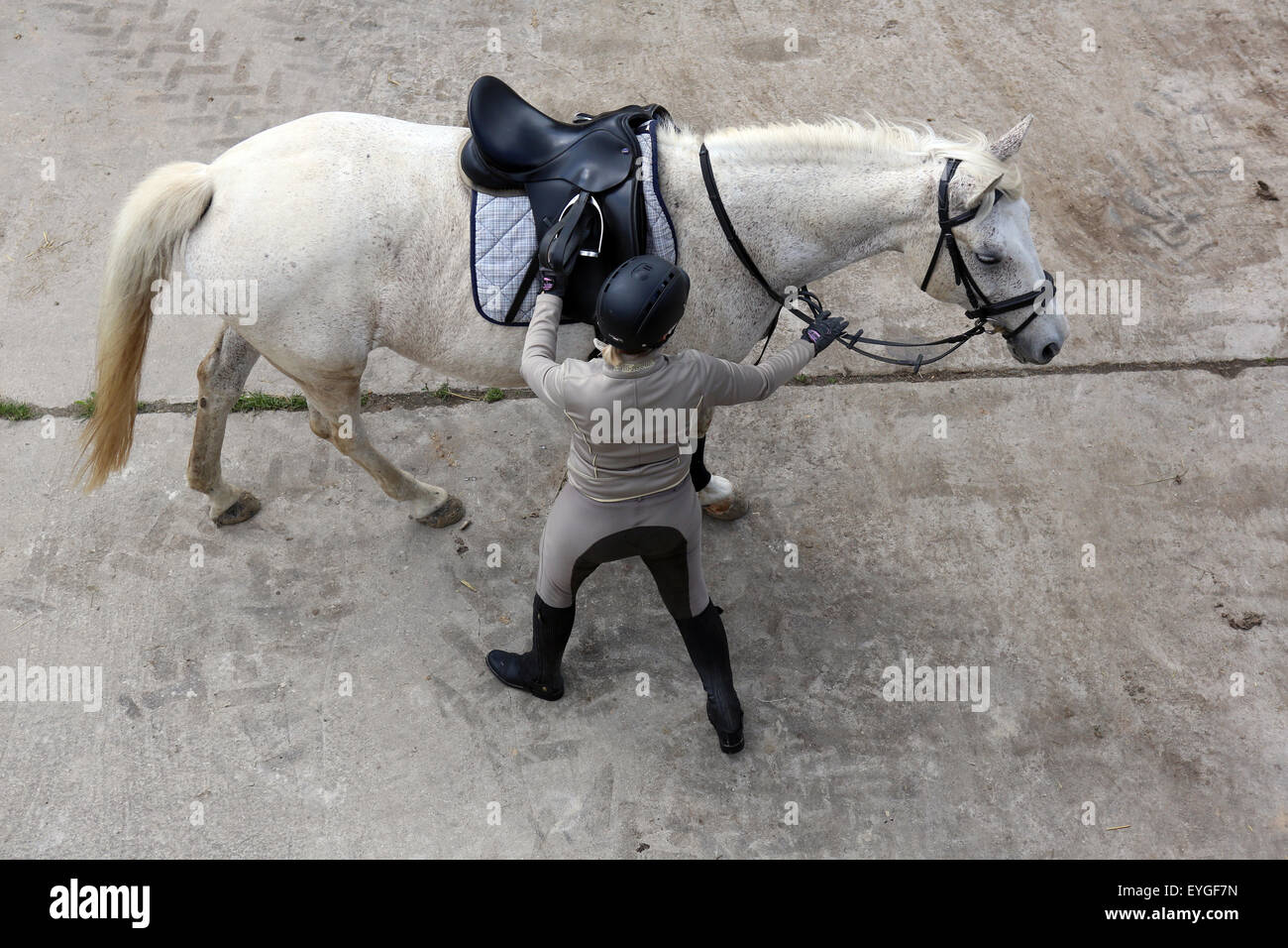 Cavaliere a cote de son cheval Banque de photographies et d’images à ...