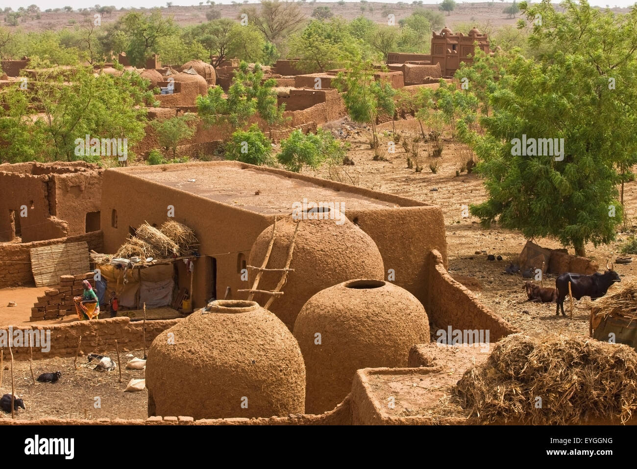 Au Niger, le Centre du Niger, Tahoa, du toit de sa célèbre mosquée de ...