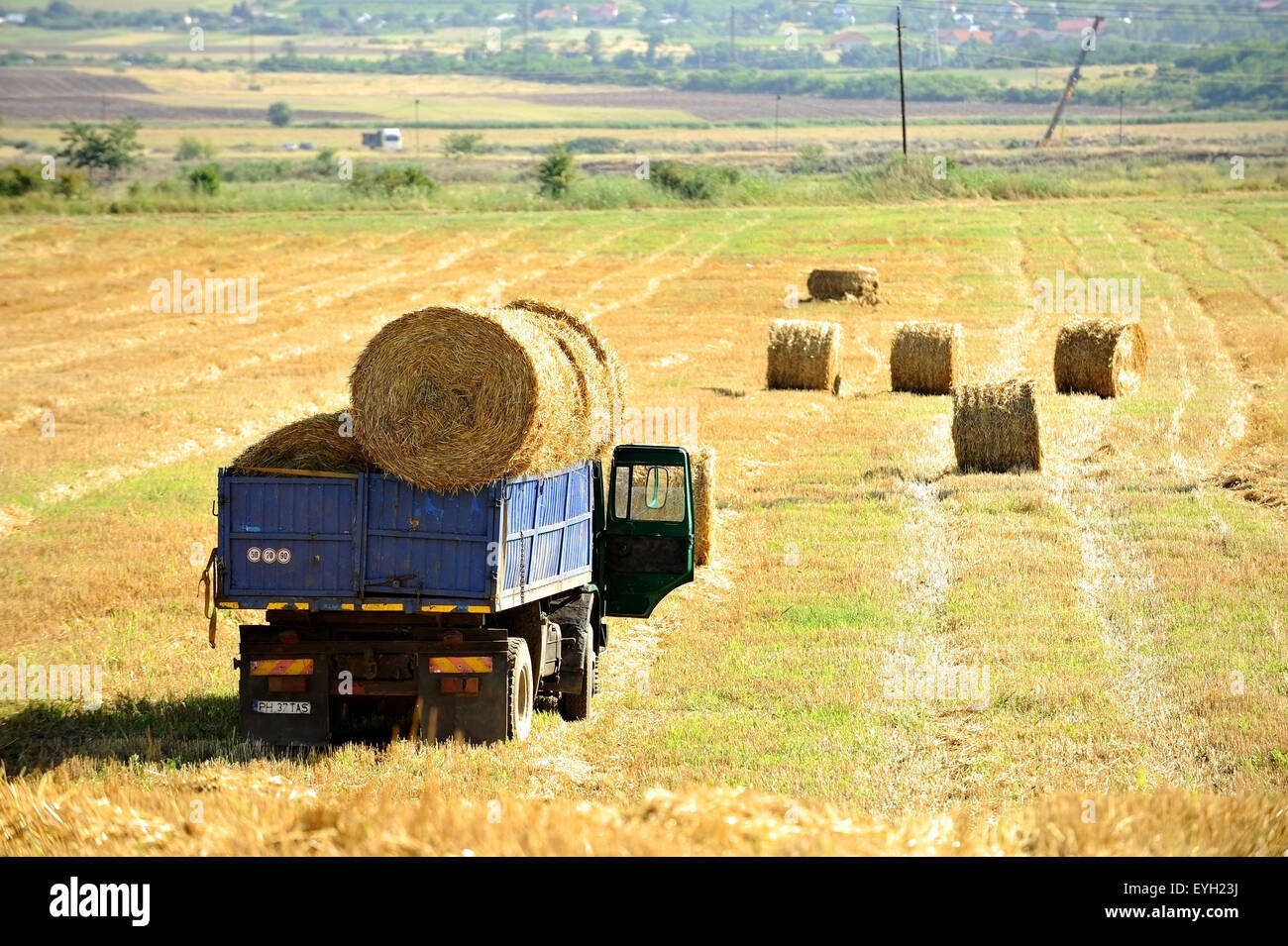 Charger du grain dans un camion Banque de photographies et d’images à ...