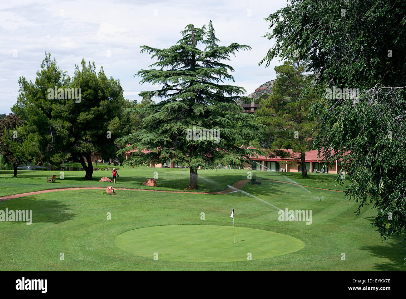 Poco diablo Banque de photographies et d’images à haute résolution - Alamy