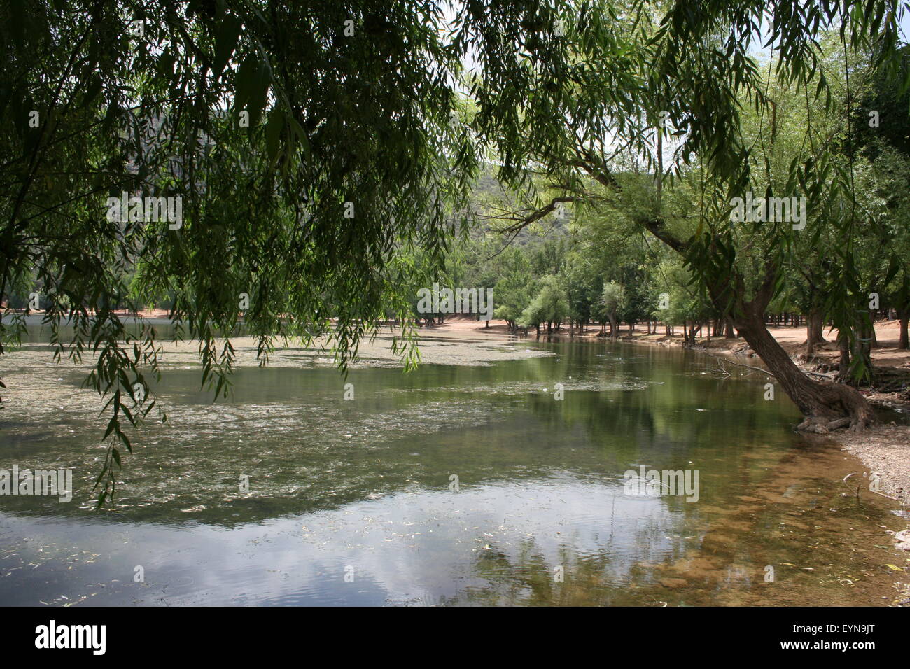 Nature marocaine Banque de photographies et d’images à haute résolution ...