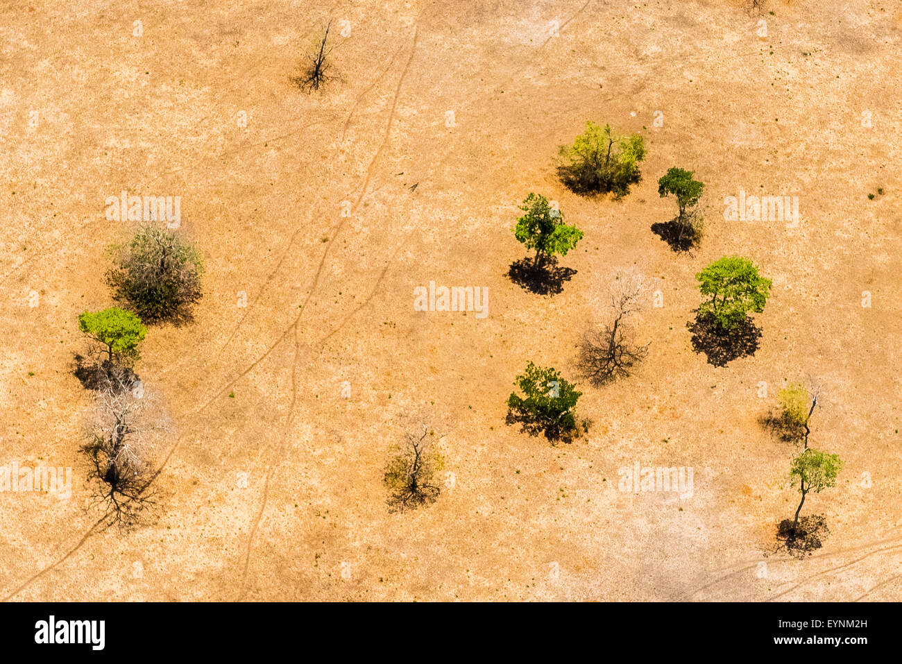 Semi arid terrain Banque de photographies et d’images à haute ...