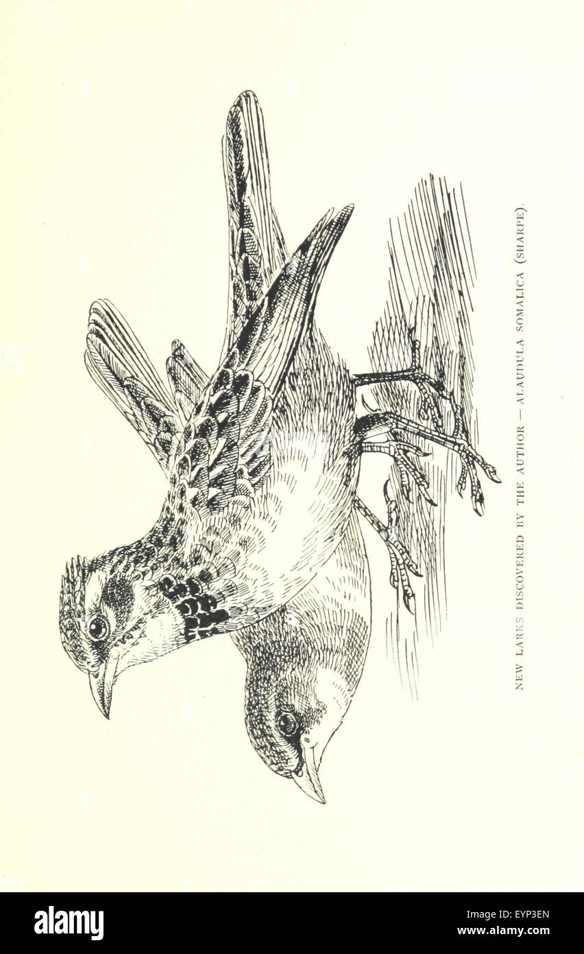 Une image de la page 149 de 'à travers les pays africains inconnus ...