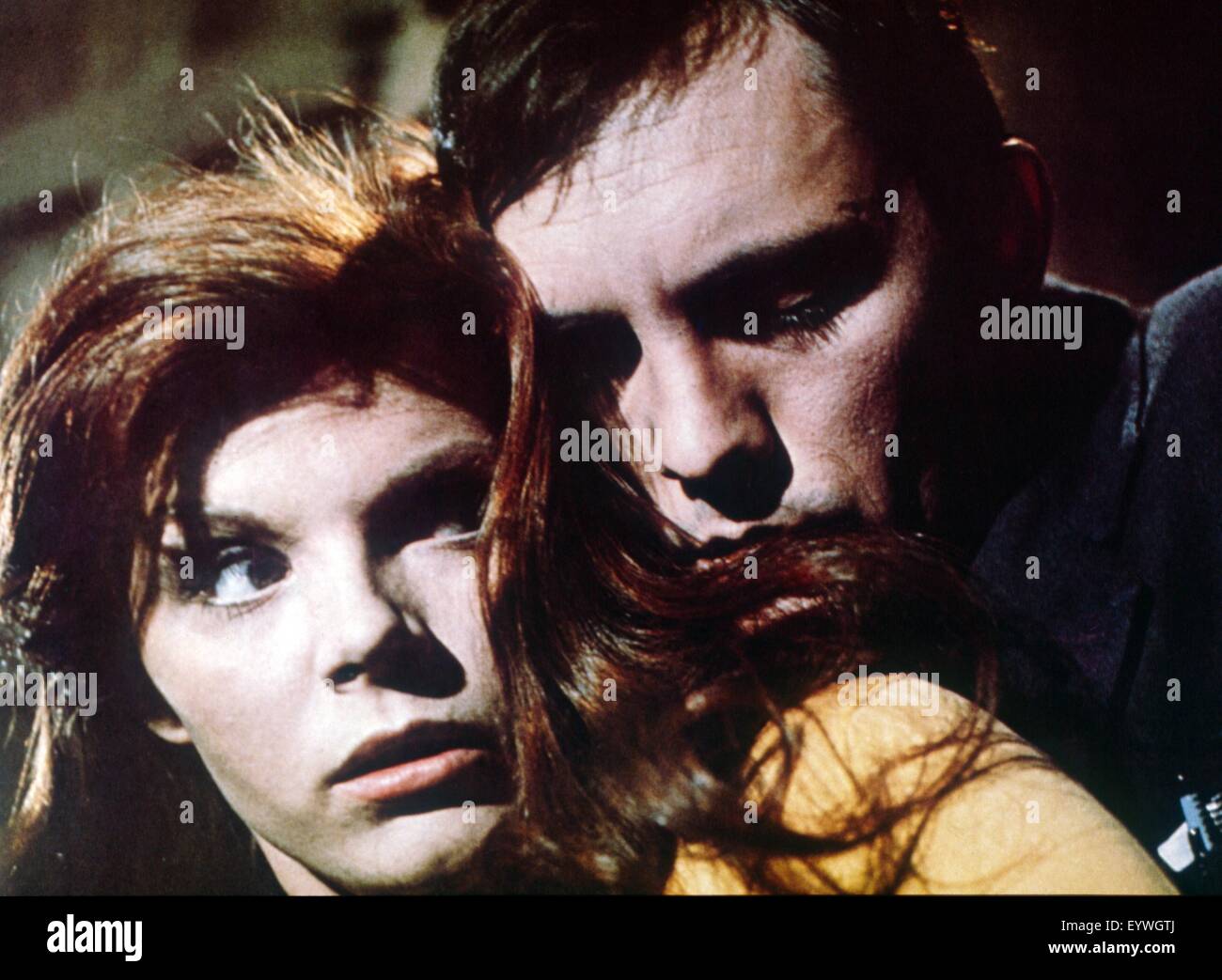 Le collecteur 1965 samantha eggar Banque de photographies et d’images à ...