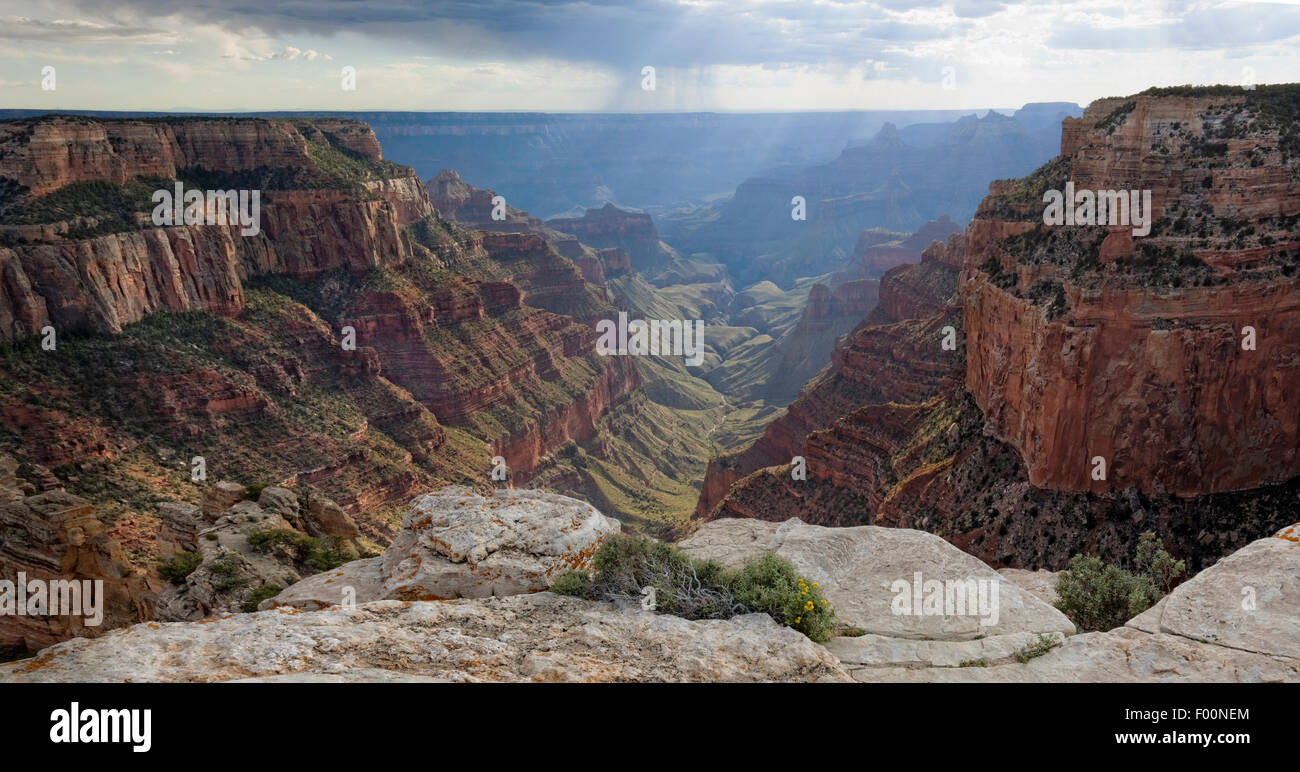 Cape royal rim north Banque de photographies et d’images à haute ...