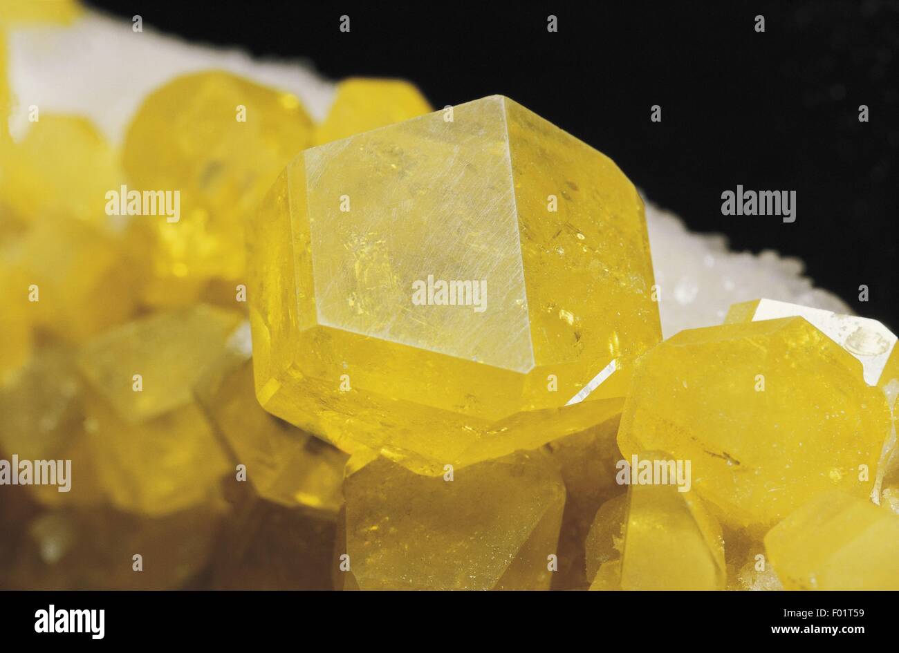 Sulfur s Banque de photographies et d’images à haute résolution - Alamy