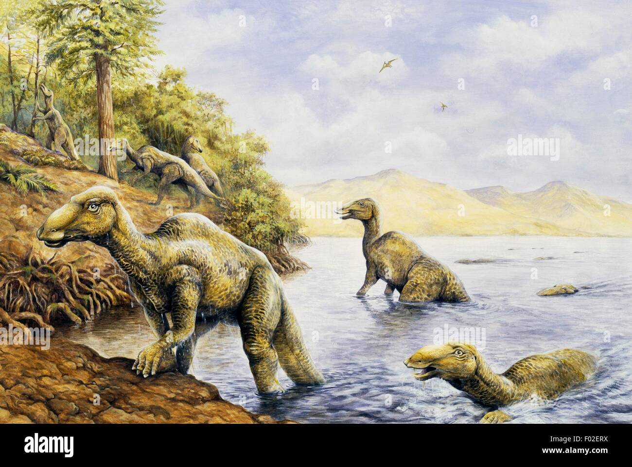 Hadrosauridae Edmontosaurus sp,,fin du Crétacé. L'illustration Photo ...
