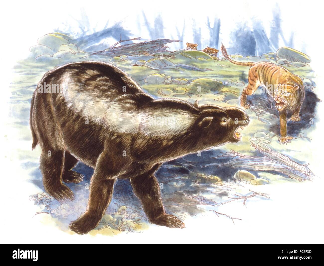 Pleistocene animals Banque de photographies et d’images à haute ...