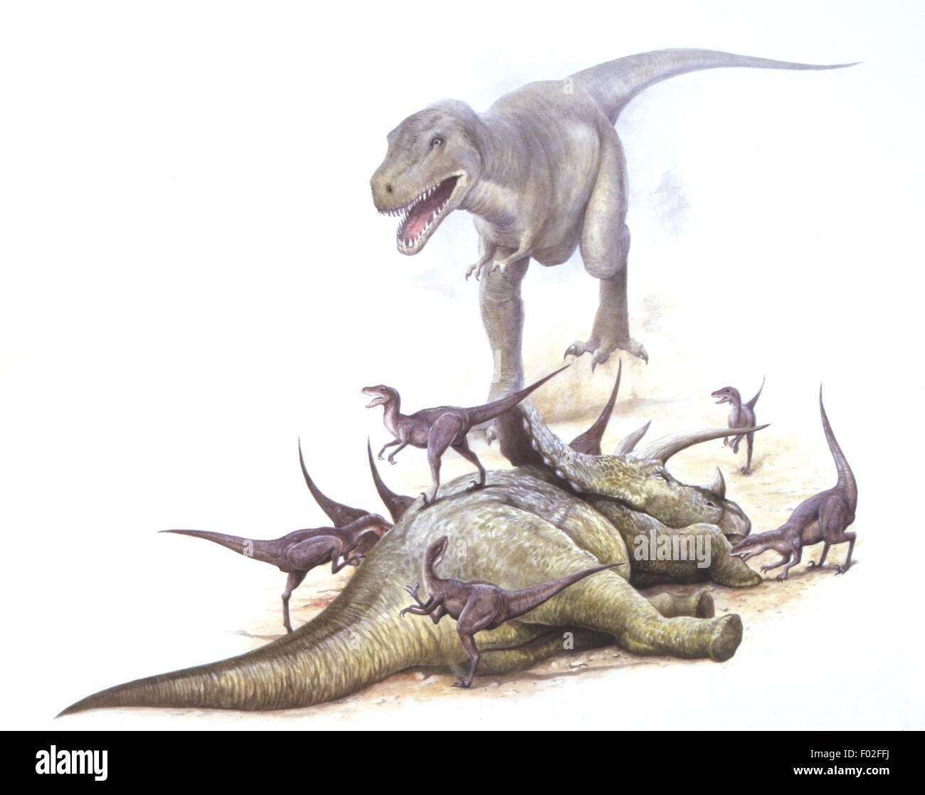 Mesozoic period Banque de photographies et d’images à haute résolution ...