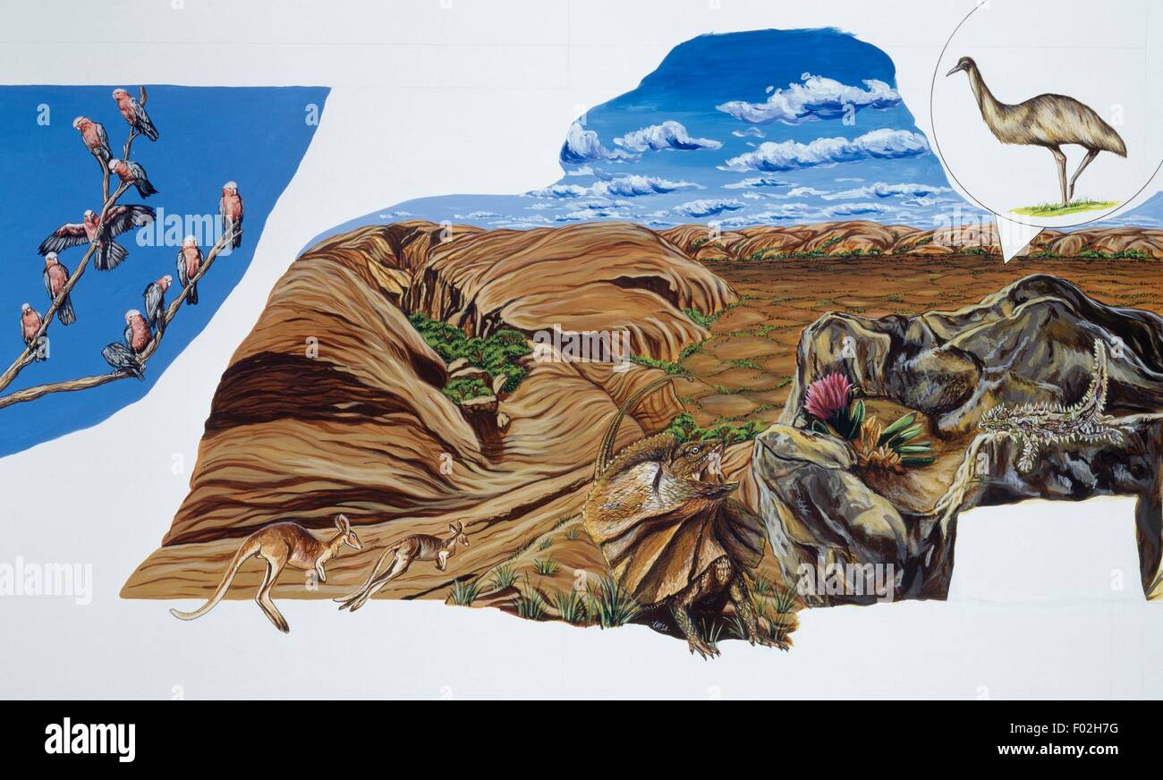 Desert Animals Illustration Banque d'image et photos - Alamy