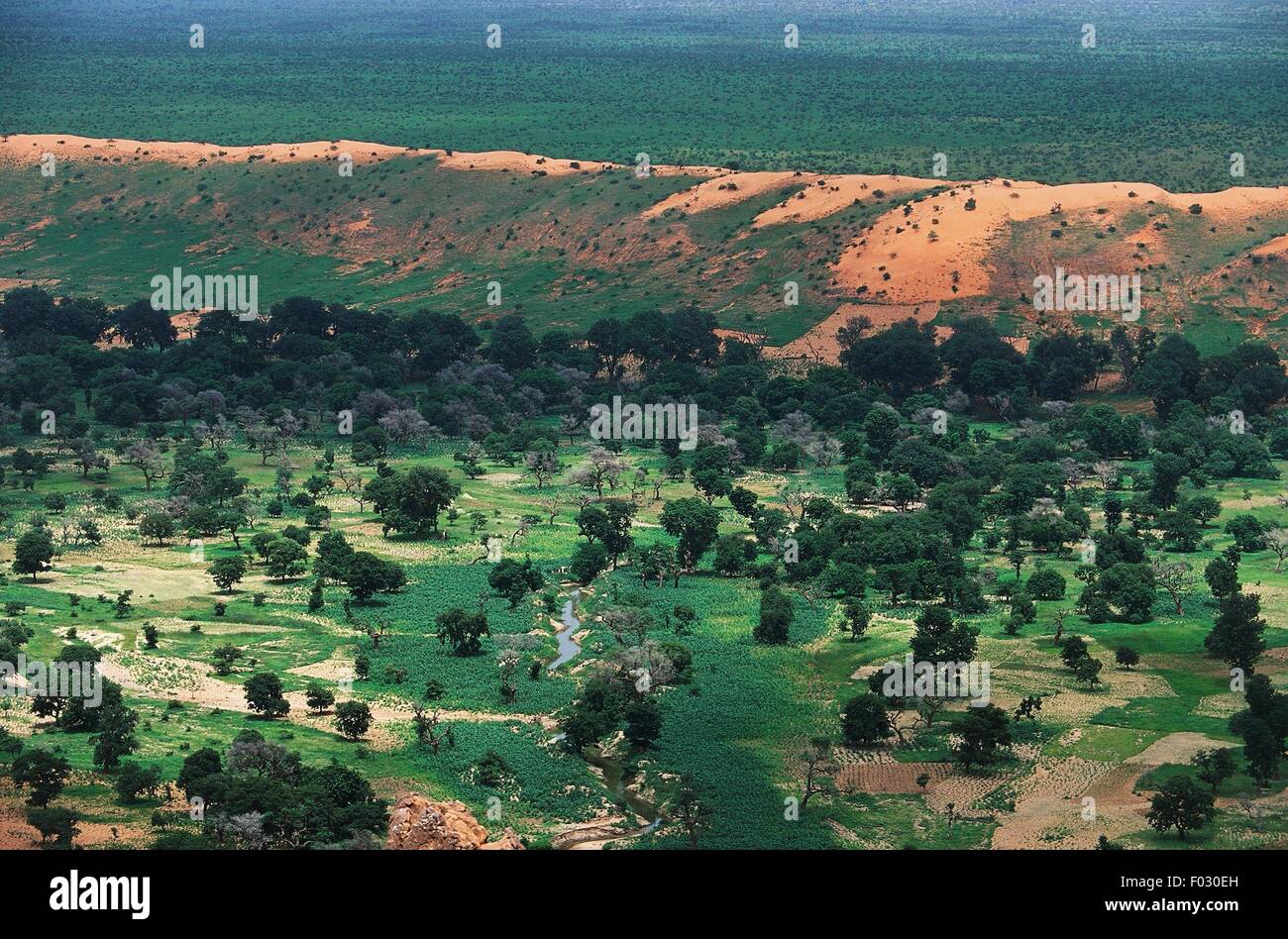 La vue du haut de la falaise de Bandiagara, pays des Dogons, peuple du ...