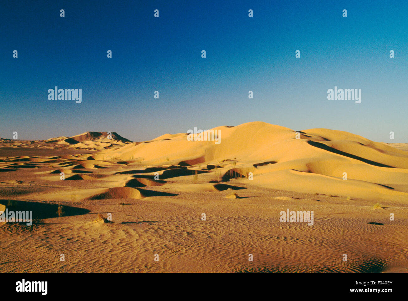 El golea Banque de photographies et d’images à haute résolution - Alamy