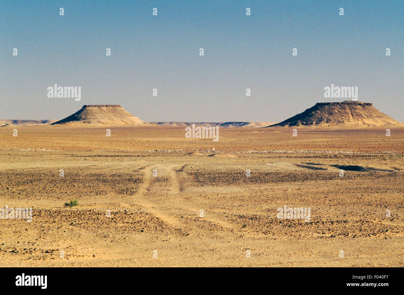 El golea Banque de photographies et d’images à haute résolution - Alamy