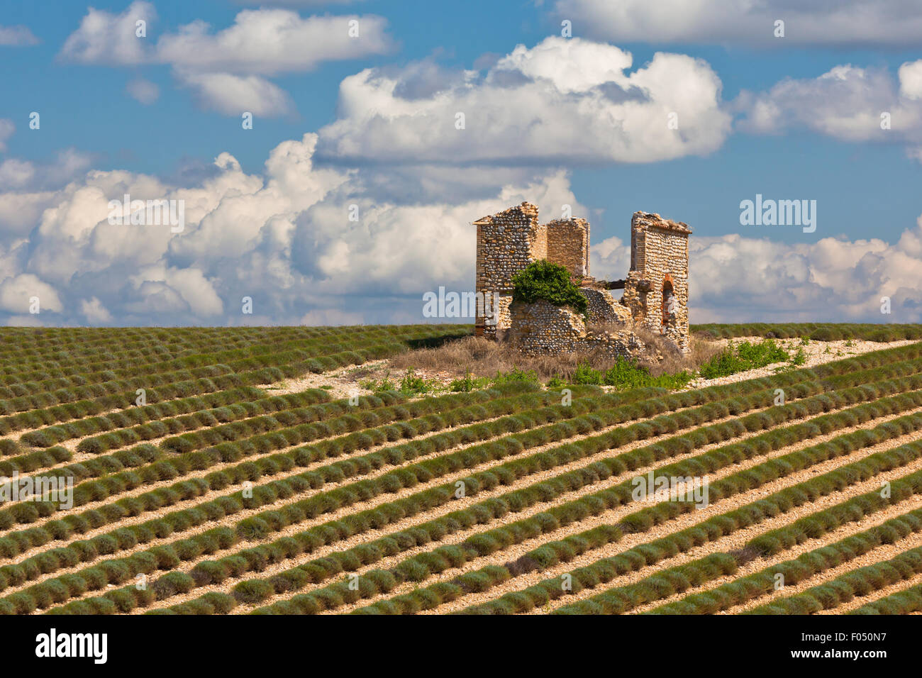 Ruine de maison en pierre Banque de photographies et d’images à haute ...